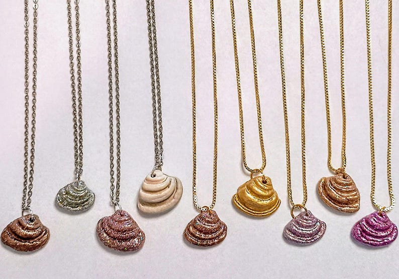 Unique Pawleys Island Seashell Necklaces. Imperial Venus Shell. Rare ...