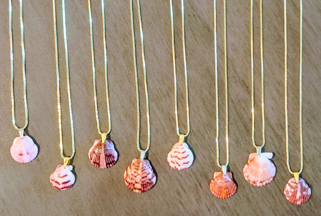 Hand Picked and Designed, Calico Seashell Necklaces. Every Shell is ...