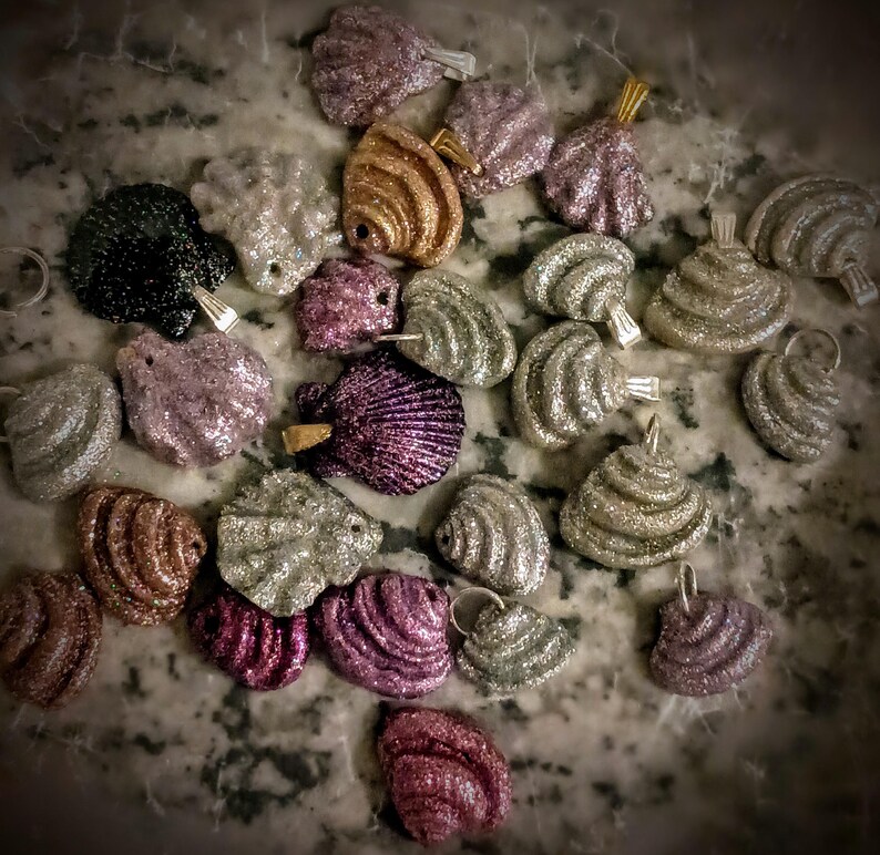 Unique Pawleys Island Seashell Necklaces. Imperial Venus Shell. Rare ...