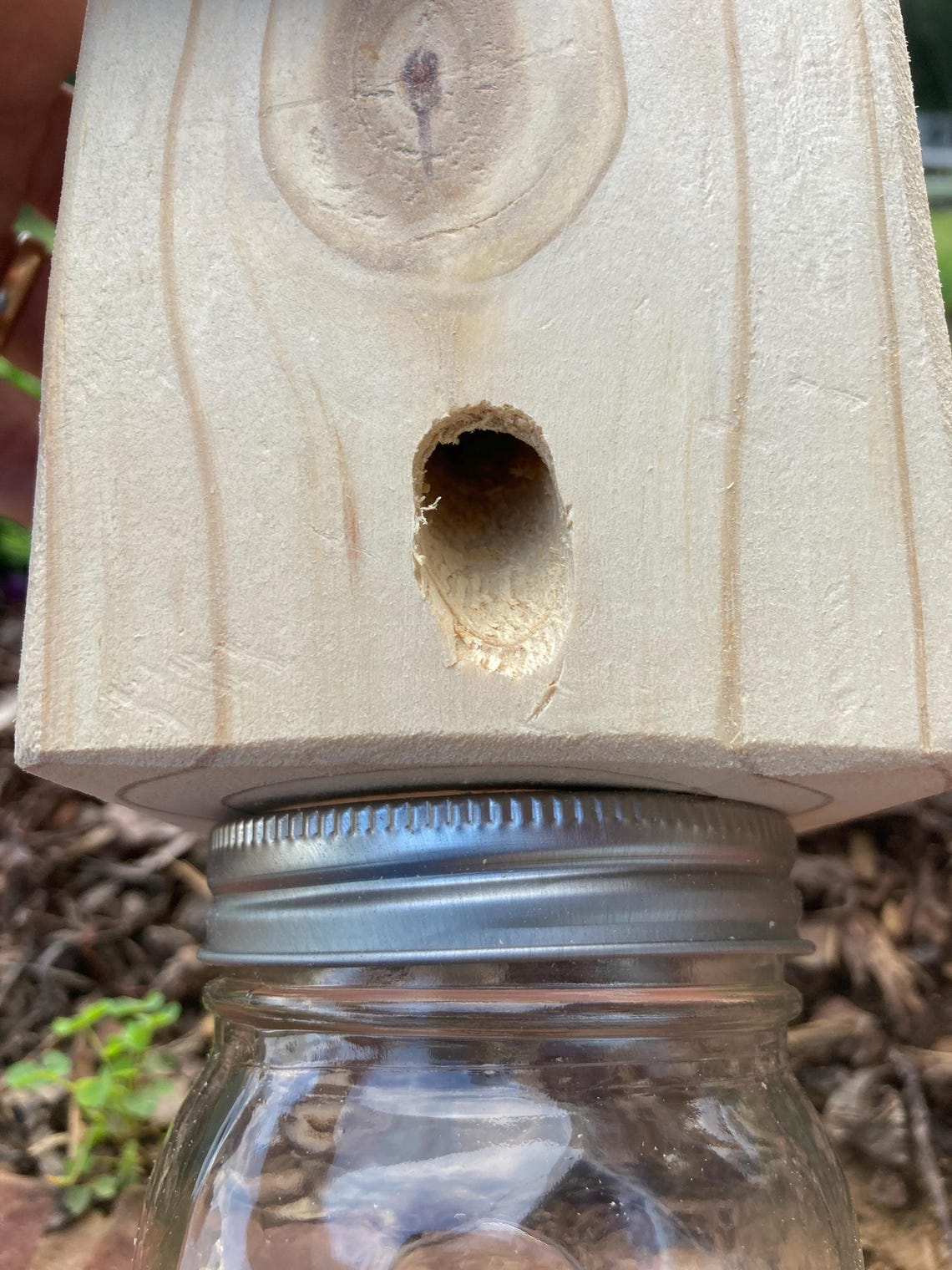 Complete (1) Handmade Carpenter Bee Traps Soft Untreated Pine Boring ...
