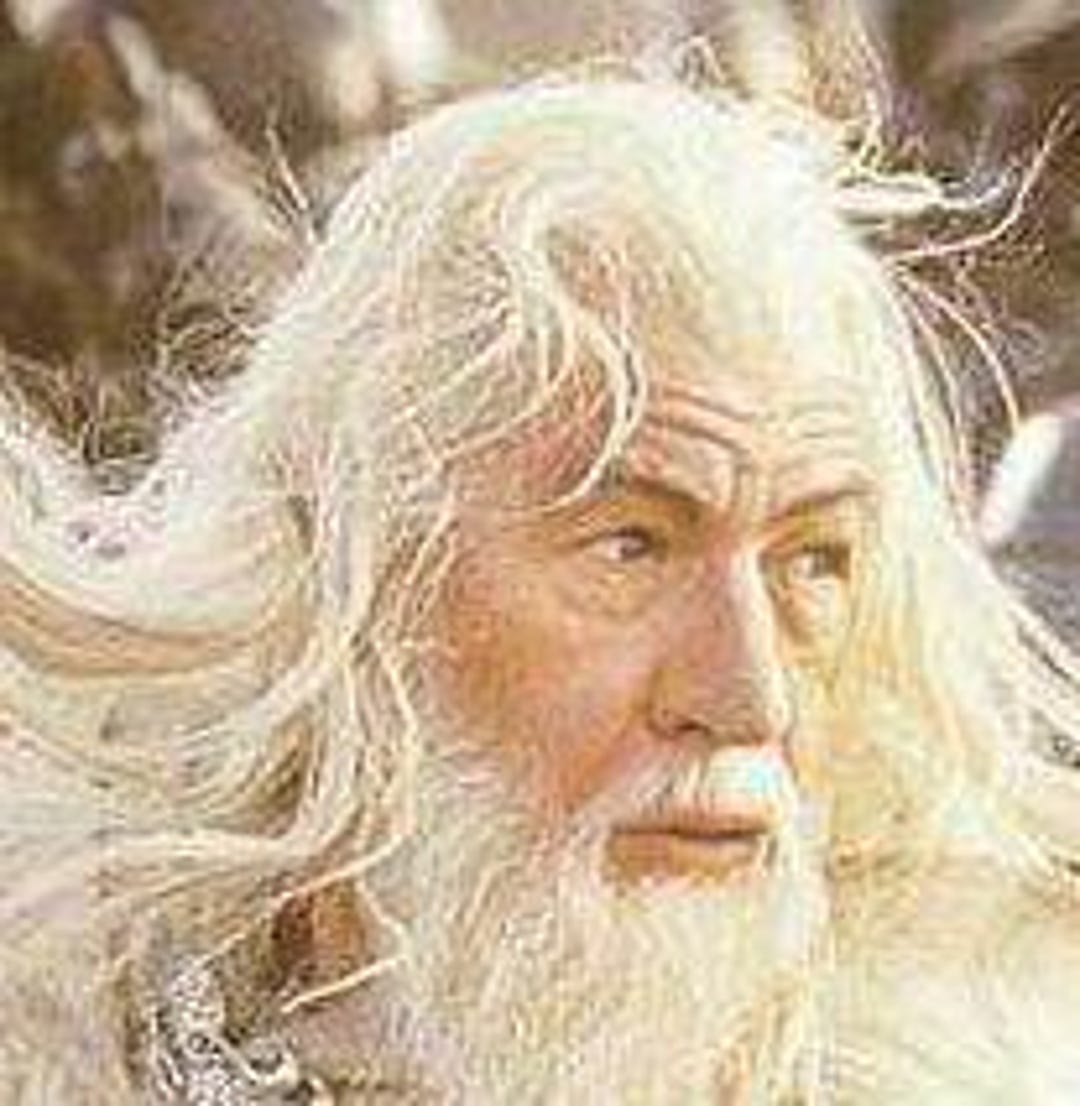 Custom Portrait of the Gandalf Portrait for H W, Size: 18" X 24 ...