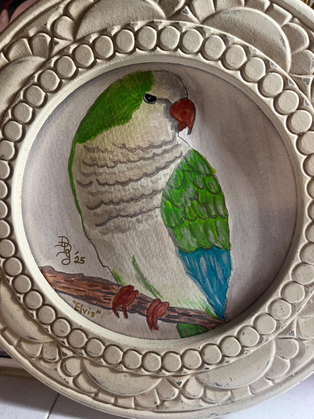 Elvis the Quaker Parrot Pet Portrait Metallic Watercolor on Paper. - Etsy