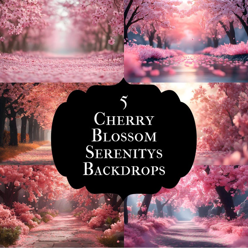 Scene Setters - Etsy