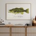 Bass Art Print, Largemouth Bass Print, Fishing Decor, Largemouth ...