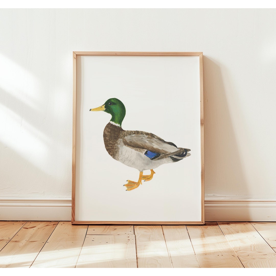 Watercolor Mallard Duck Art, Mallard Duck Nursery, Duck Nursery Print ...