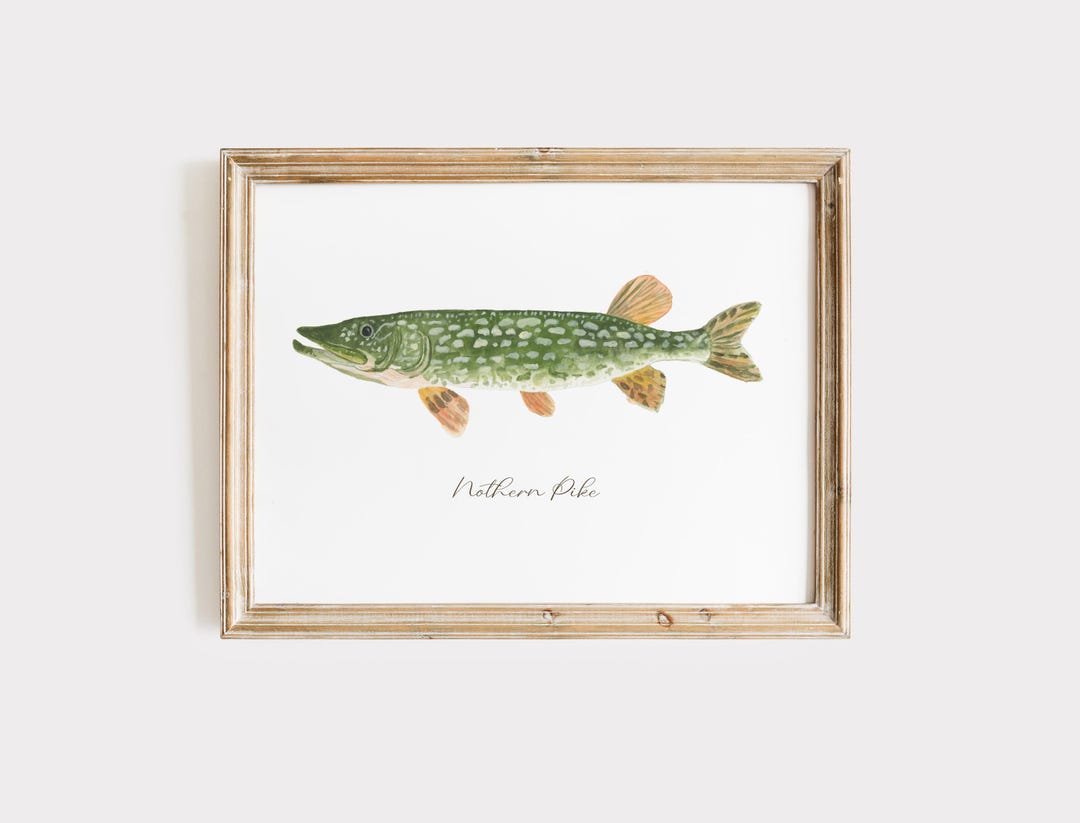 Northern Pike, Freshwater Fish, Lake Art Painting, Northern Pike ...