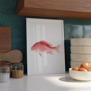 Red Snapper Art, Red Snapper Print, Fishing Nursery Art, Gift for ...