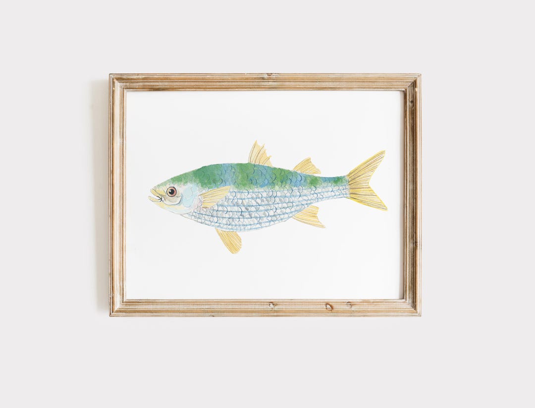 Mullet Fish Art Print, Watercolor Mullet Fish, Fish Kitchen Decor ...