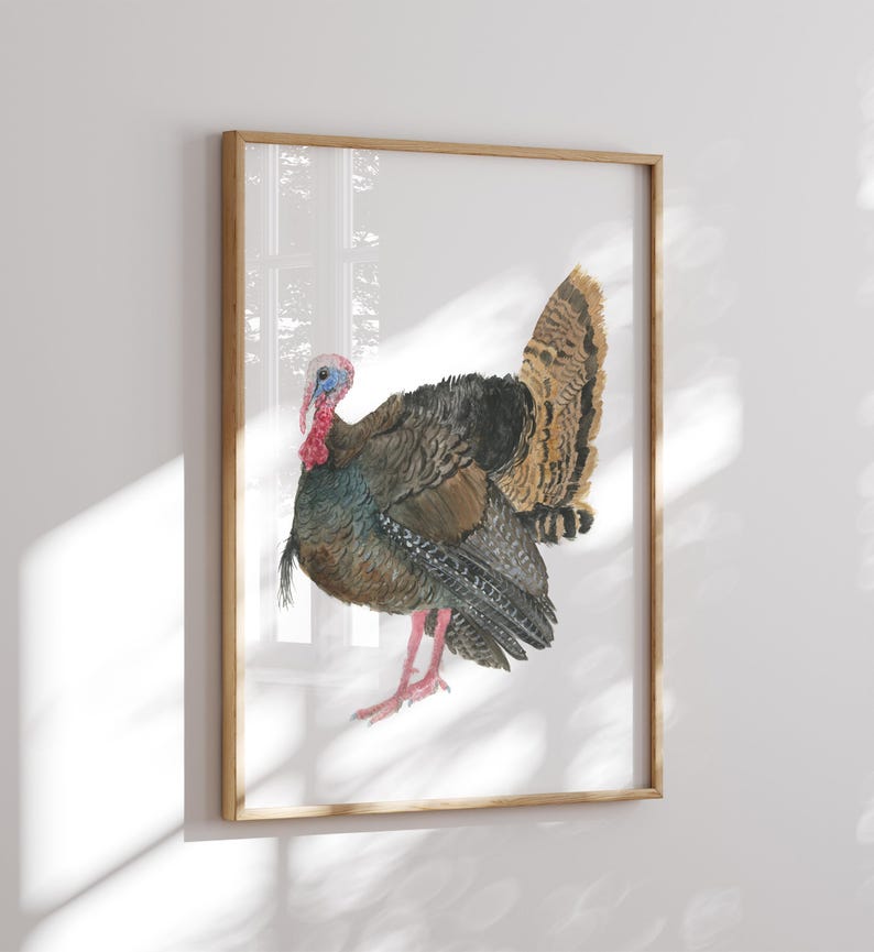 Watercolor Wild Turkey, Wild Turkey Art Decor, Hunting Prints, Hunting ...