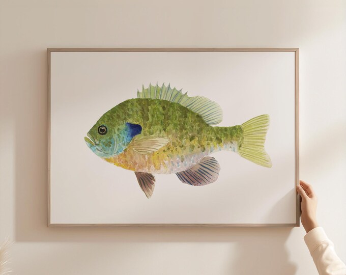 Bluegill Fish,fishing Art Print, Sunfish Bluegill, Fishing Nursery, Man Cave Decor, Fish ...