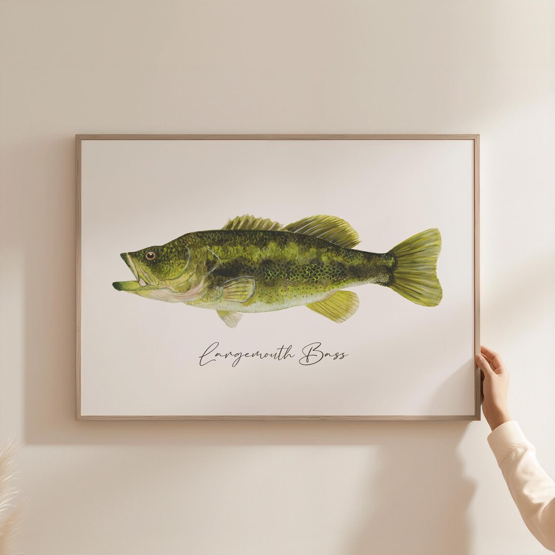 Bass Art Print, Largemouth Bass Print, Fishing Decor, Largemouth ...