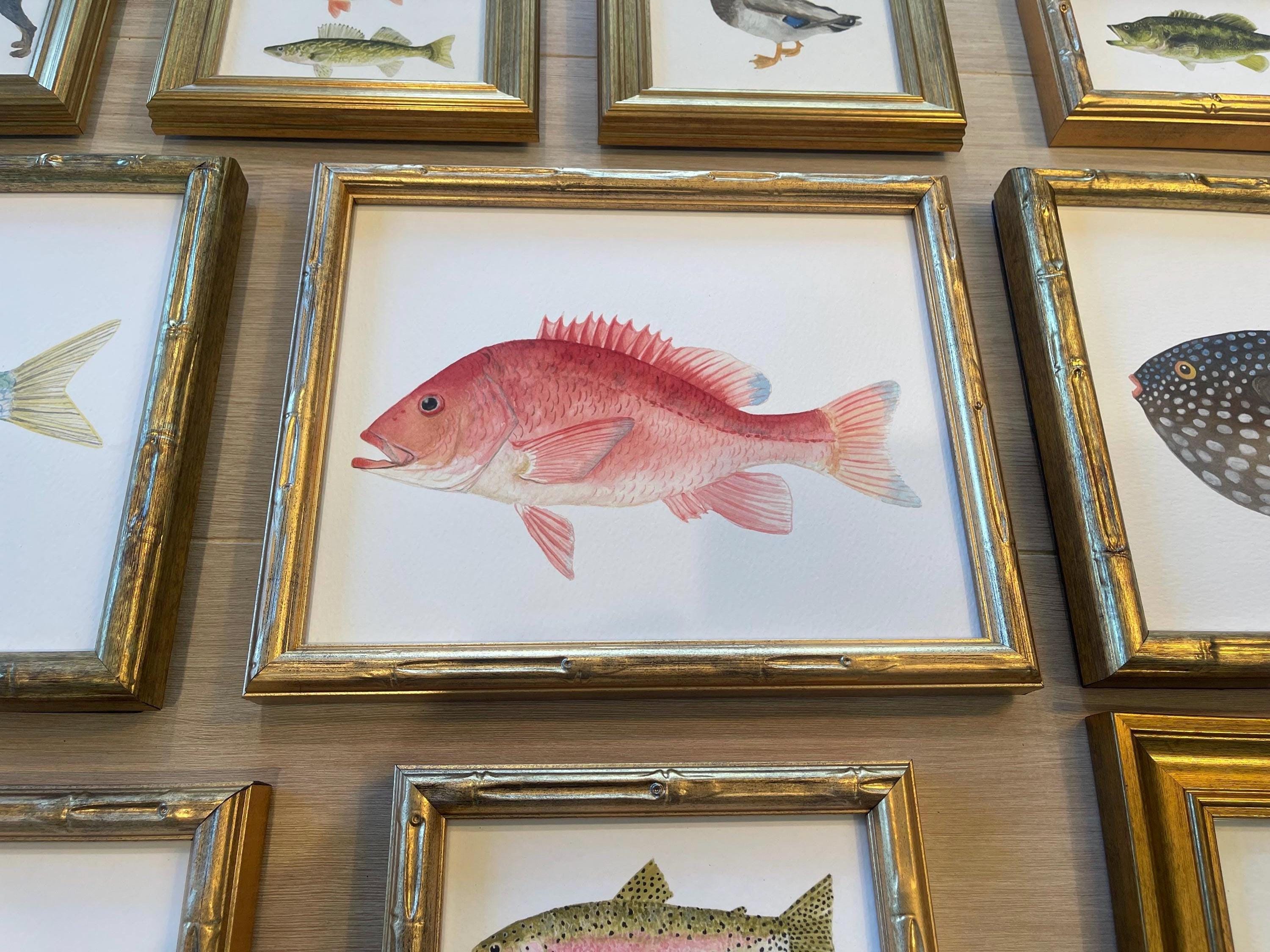 Red Snapper Watercolor Art Print, Coastal Fish Illustration - Etsy