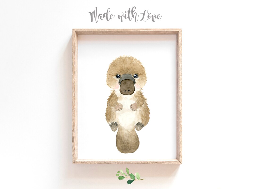 Australian Nursery Art - Baby Platypus Print - Aussie Animal Print ...