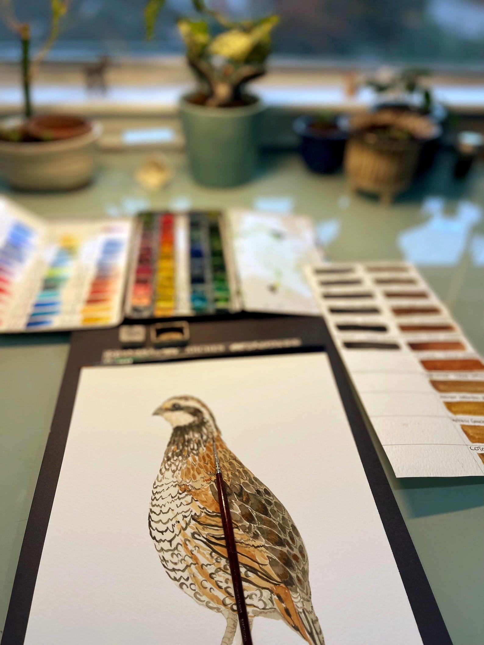 Northern Bobwhite Quail Watercolor, Quail Hunting Wall Art, Nursery ...