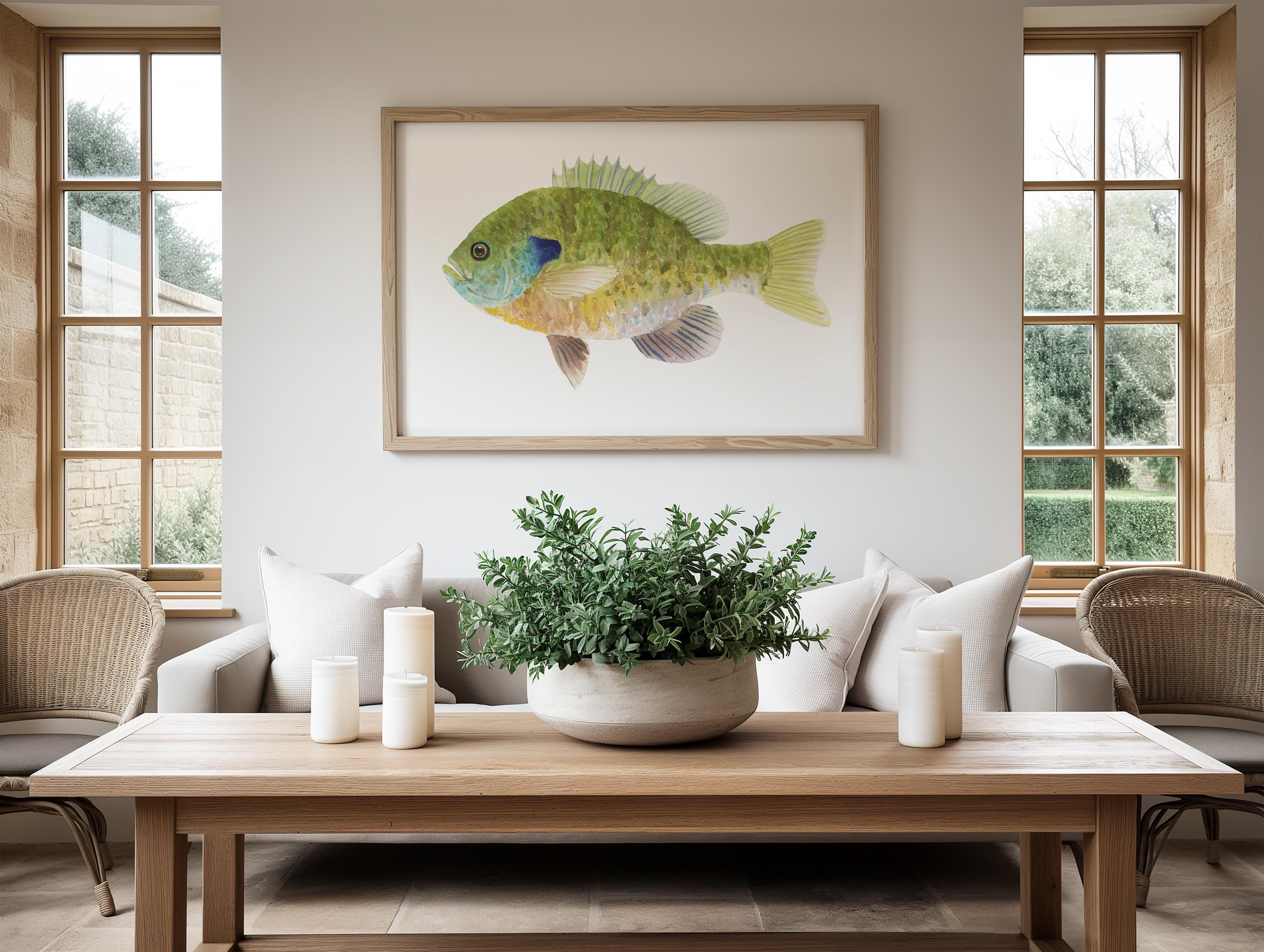 Bluegill Fish,fishing Art Print, Sunfish Bluegill, Fishing Nursery, Man ...