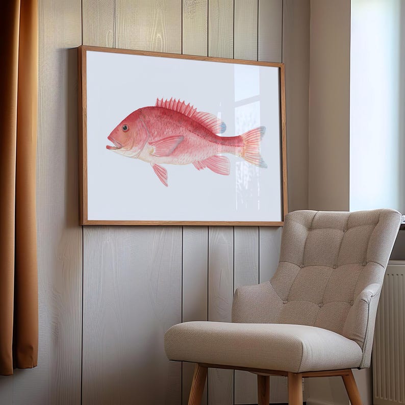 Red Snapper Watercolor Art Print, Coastal Fish Illustration - Etsy
