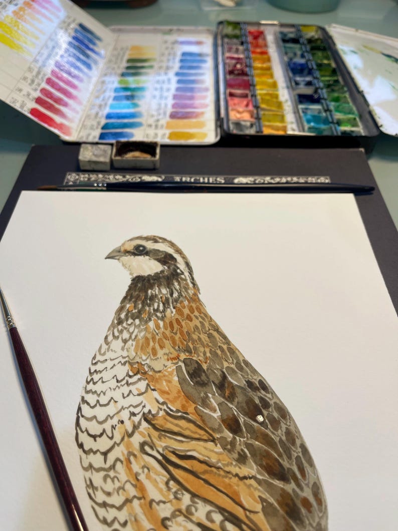 Northern Bobwhite Quail Watercolor, Quail Hunting Wall Art, Nursery ...