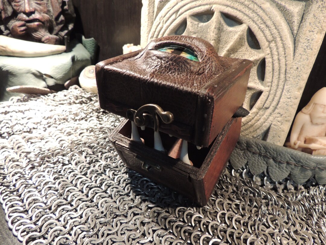 Mimic Box:multi Color Eye and Dark Brown Leather on Wooden Box - Etsy