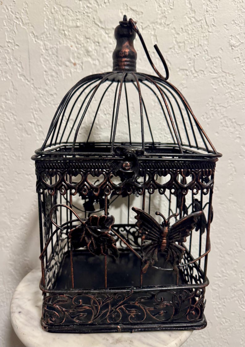 Rustic Metal Bird Cage With Butterfly and Leaf Detail - Etsy