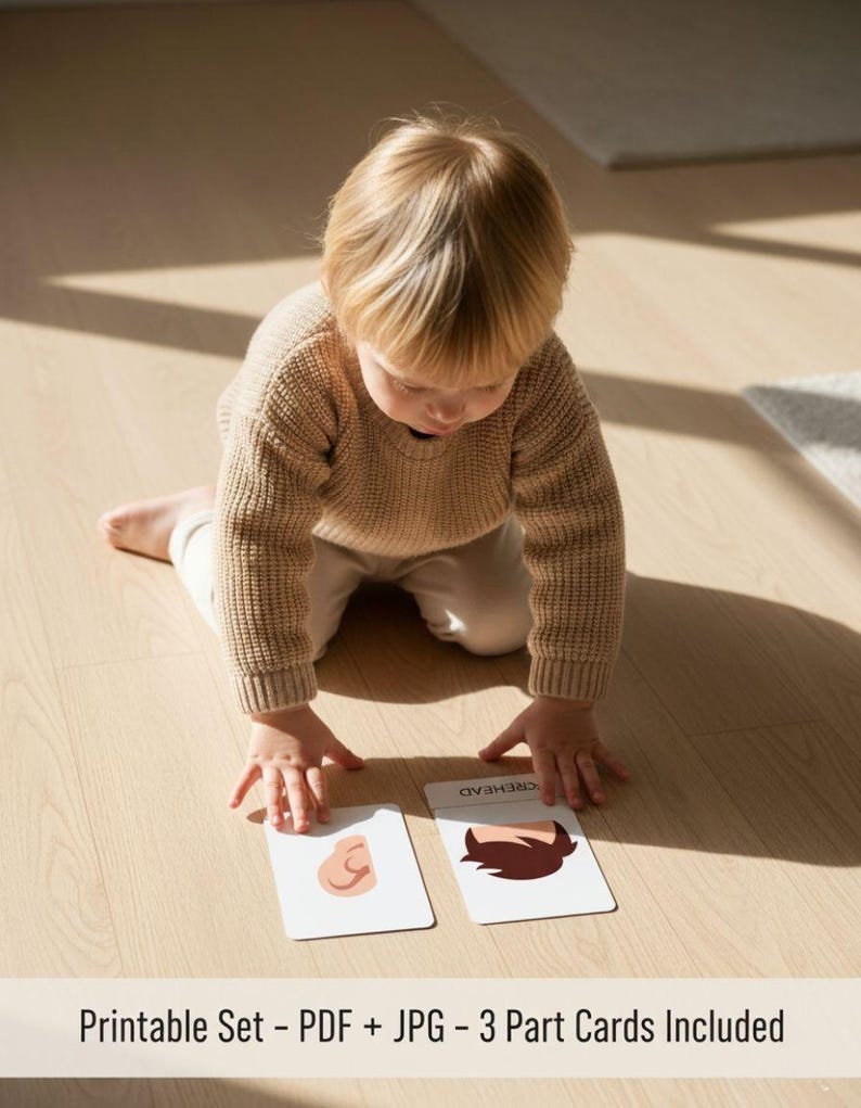 Montessori Body Parts Flashcards: Anatomy Learning , Printable (PDF ...