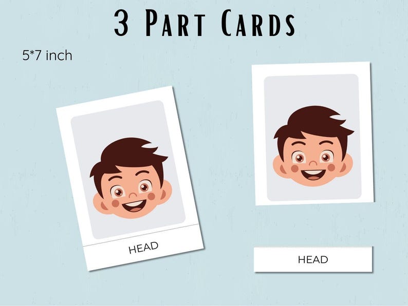 Montessori Body Parts Flashcards: Anatomy Learning , Printable (PDF ...