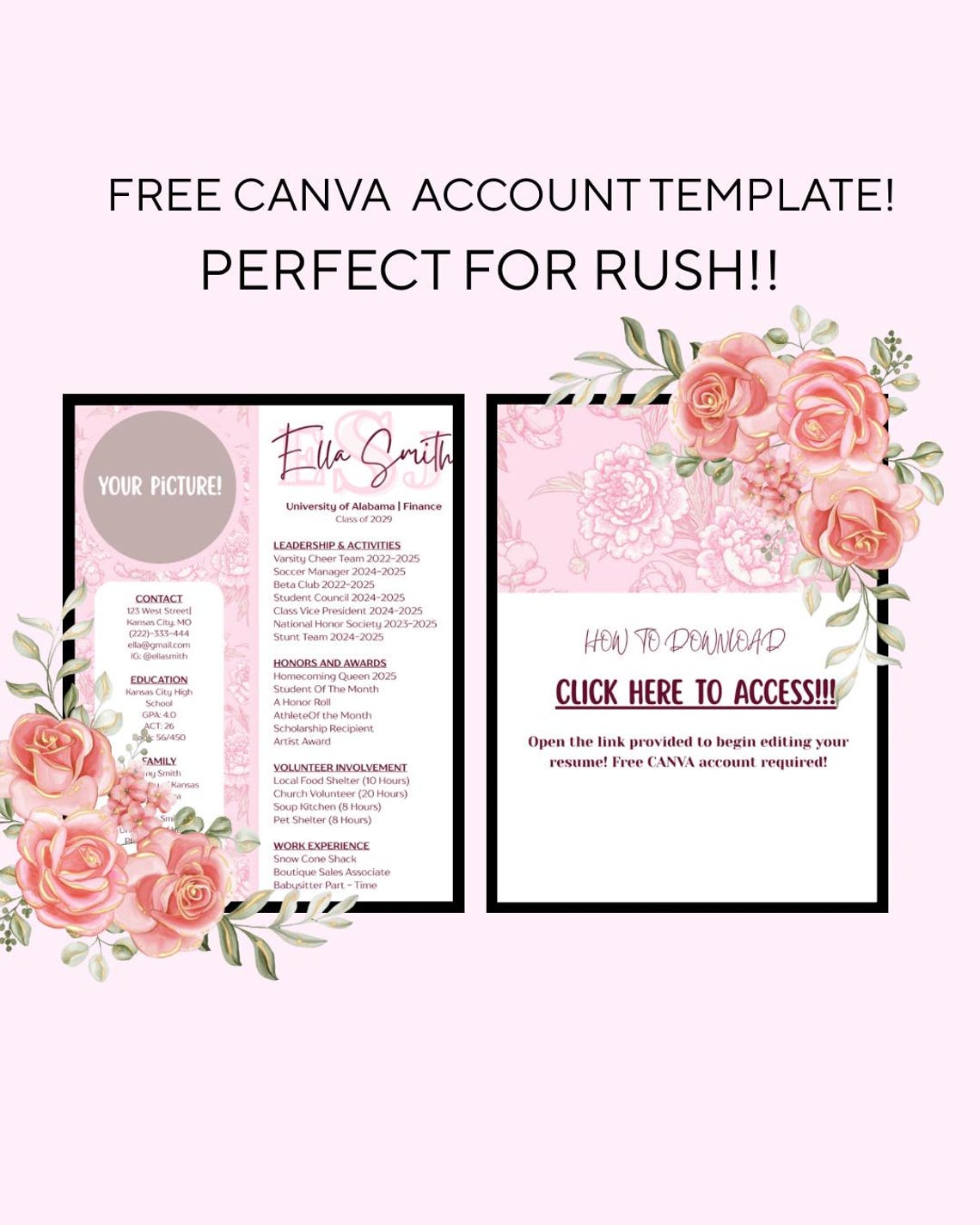 Pink Rose Resume Template: Elegant Canva Design for Sorority ...