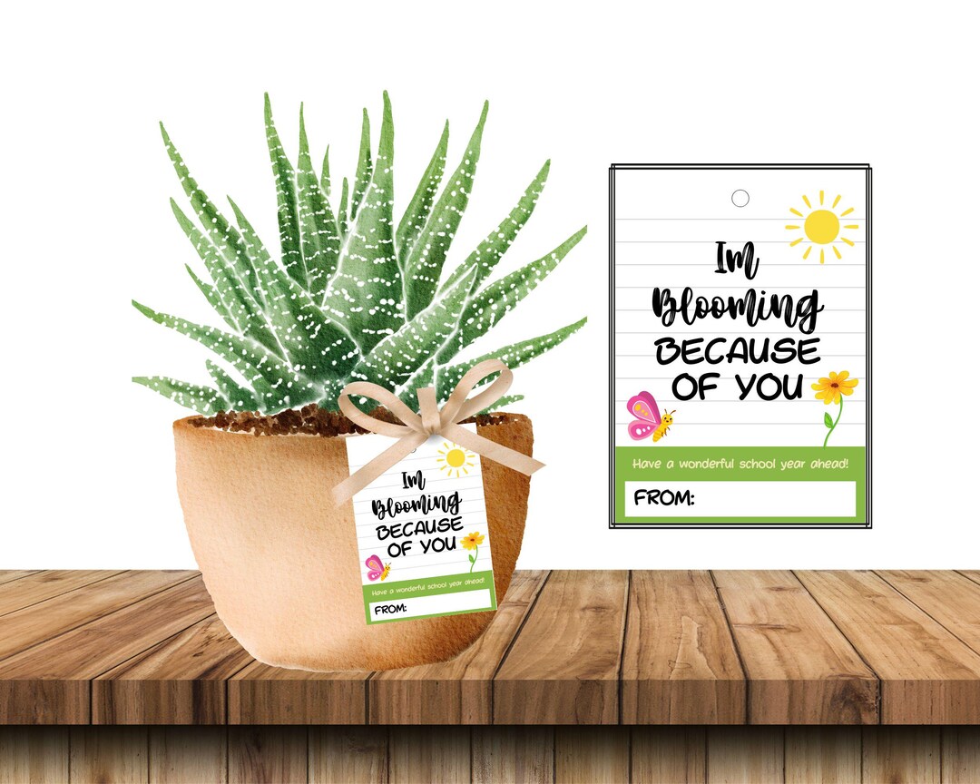 Printable Teacher Appreciation Gift Tags, Floral Spring Theme (PDF) - Etsy