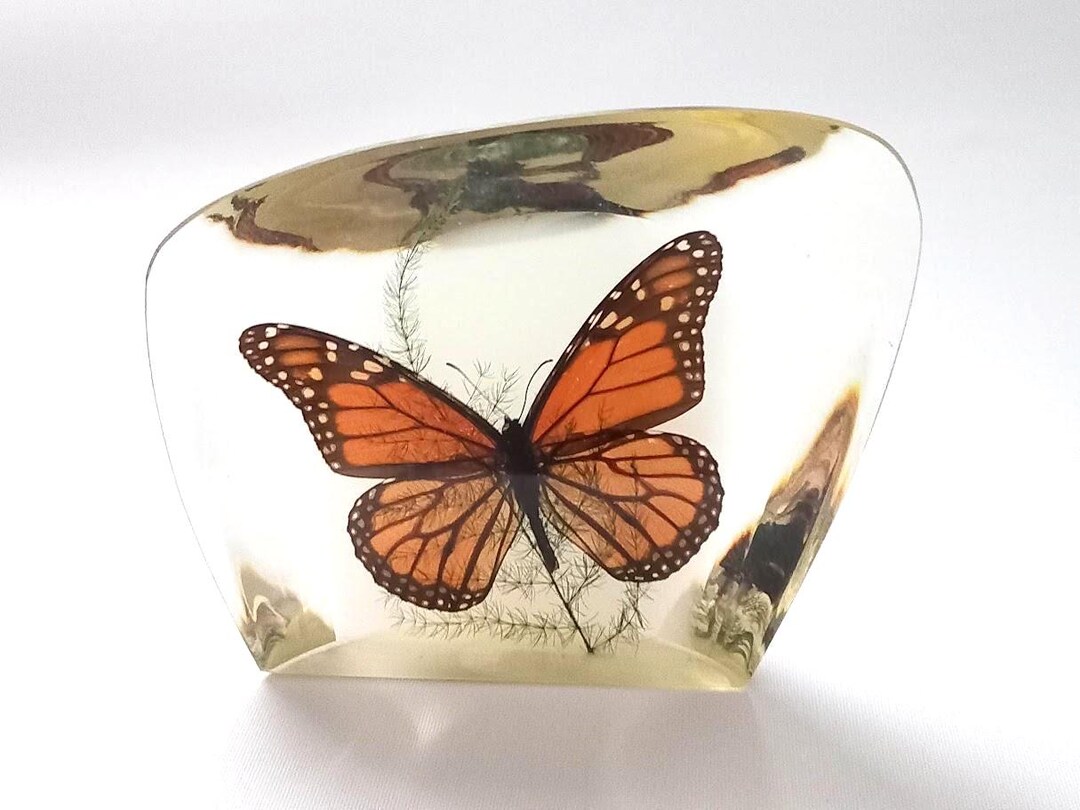 Vintage Paperweight Monarch Butterfly in Lucite by Tarax Canada - Etsy