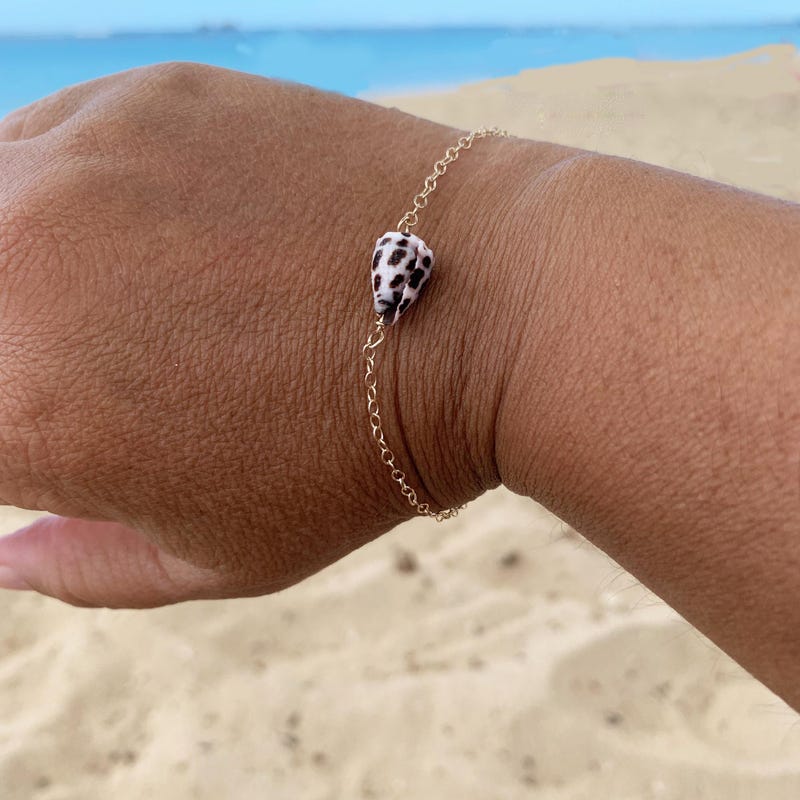 Cone Shell Jewelry - Etsy