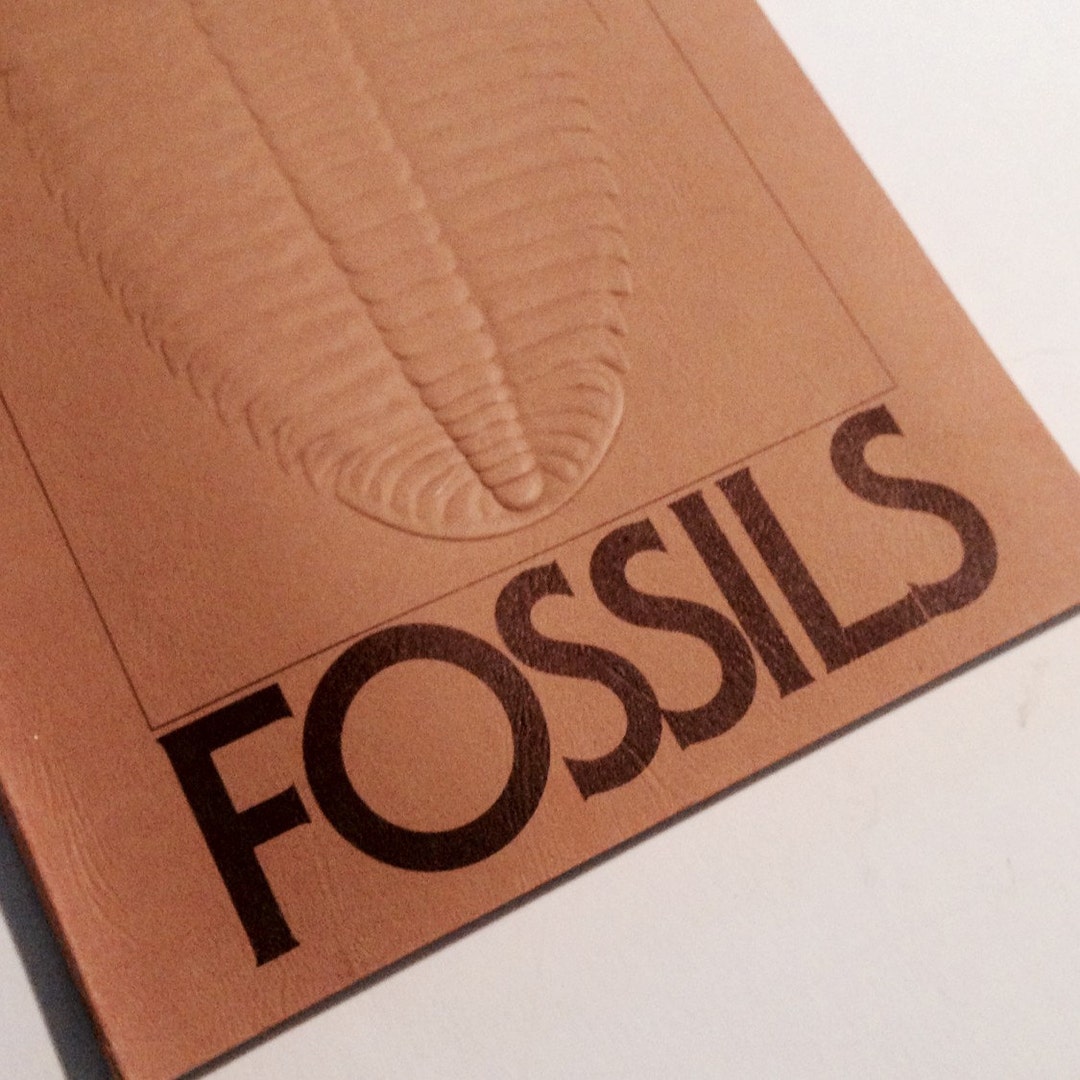 Rare No. 1 Issue of the Amazing FOSSILS Magazine, VOL 1, NO 1 -- 1976 ...