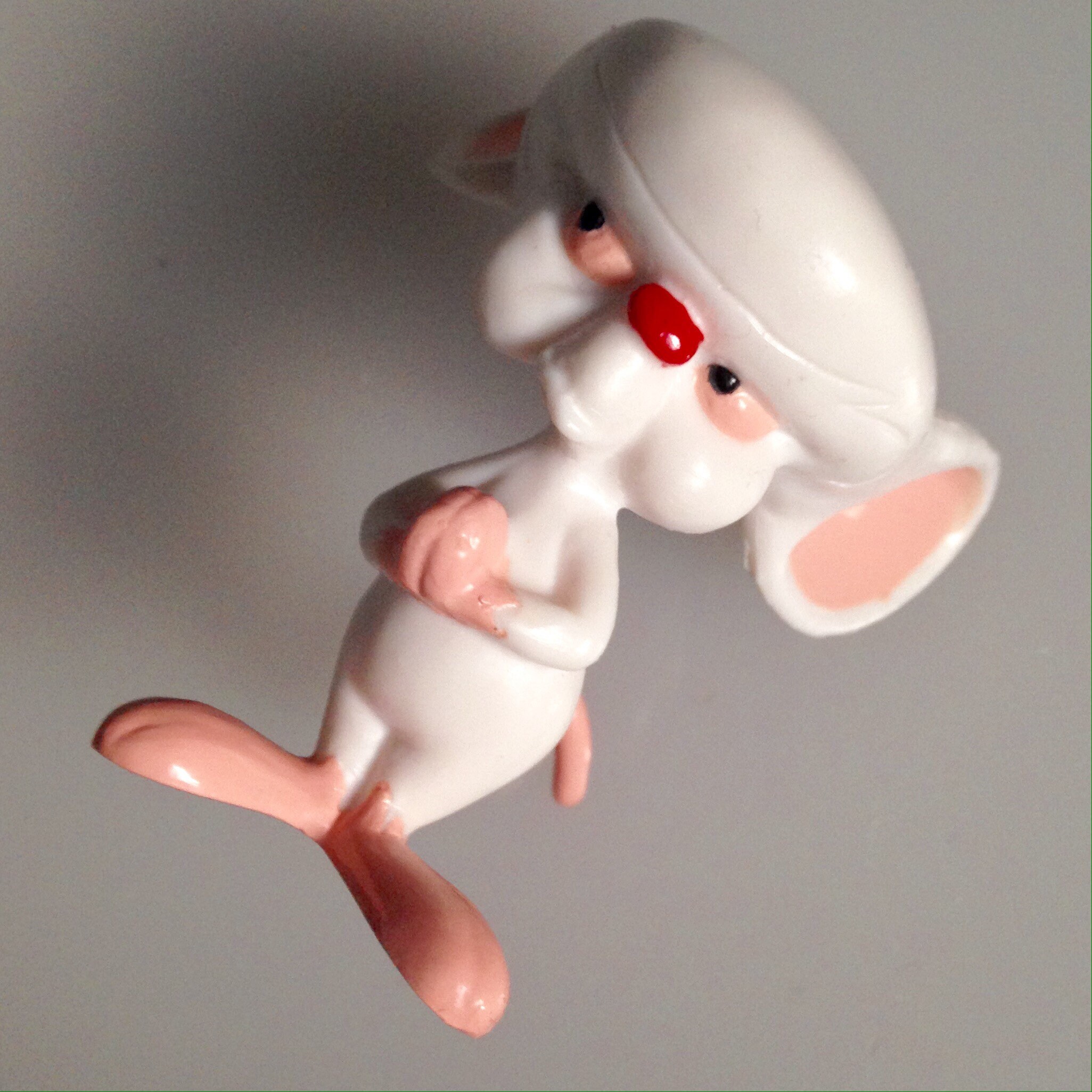 PINKY & the BRAIN! Your Lovable Lab Rats Who Every Nightly Plot ...