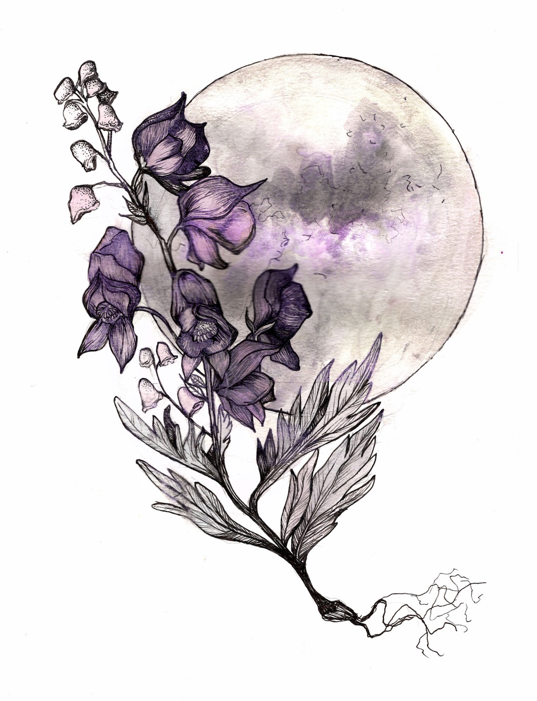 Wolfsbane - Etsy