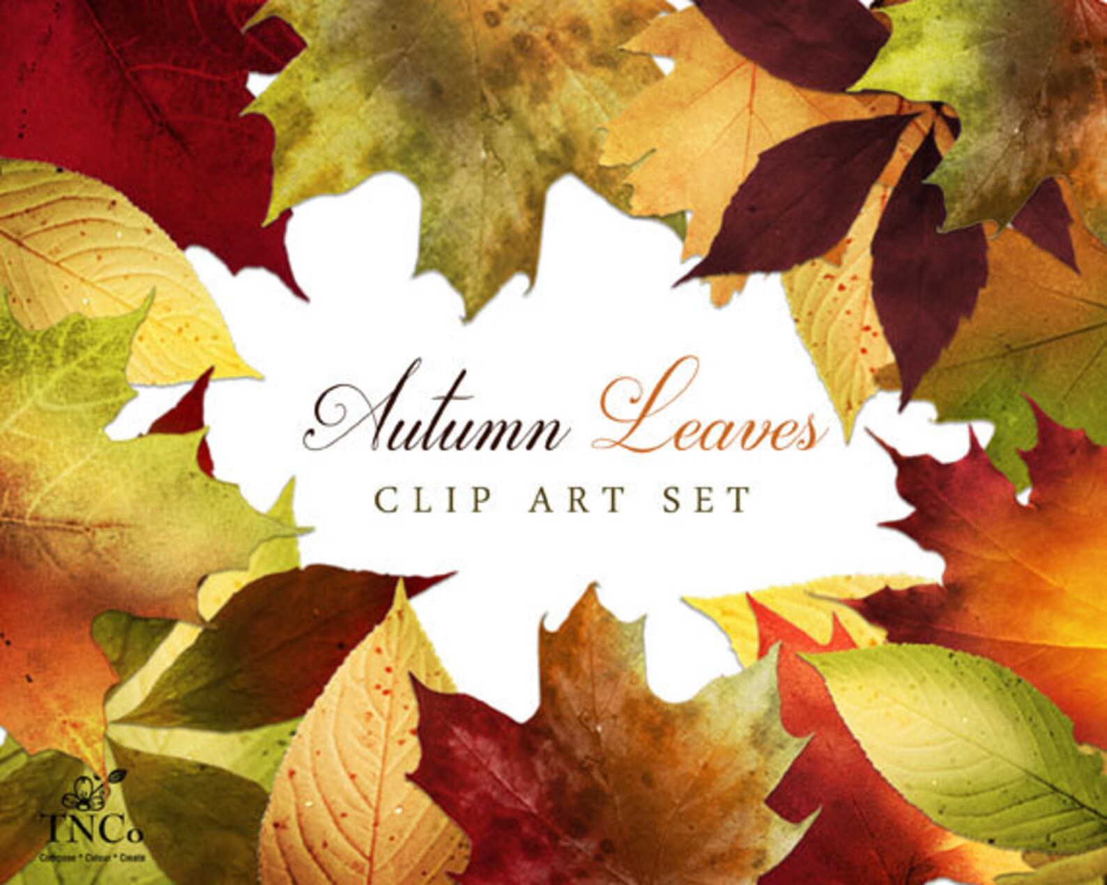 Autumn Clipart Leaf Clip Art Nature Art Fall Clipart | Etsy