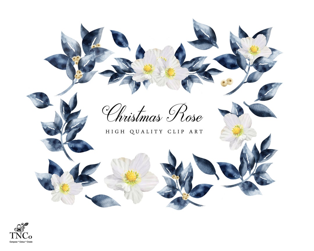 Christmas Flower Clip Art - Watercolor Floral Clipart - Invitation ...
