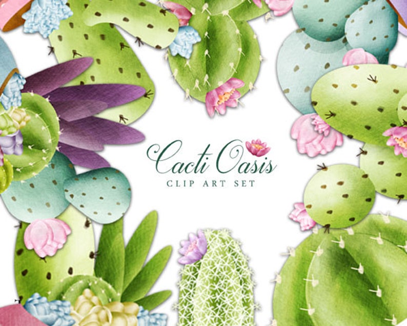 Cactus Clip Art Succulents Clipart Watercolour Flowers - Etsy UK