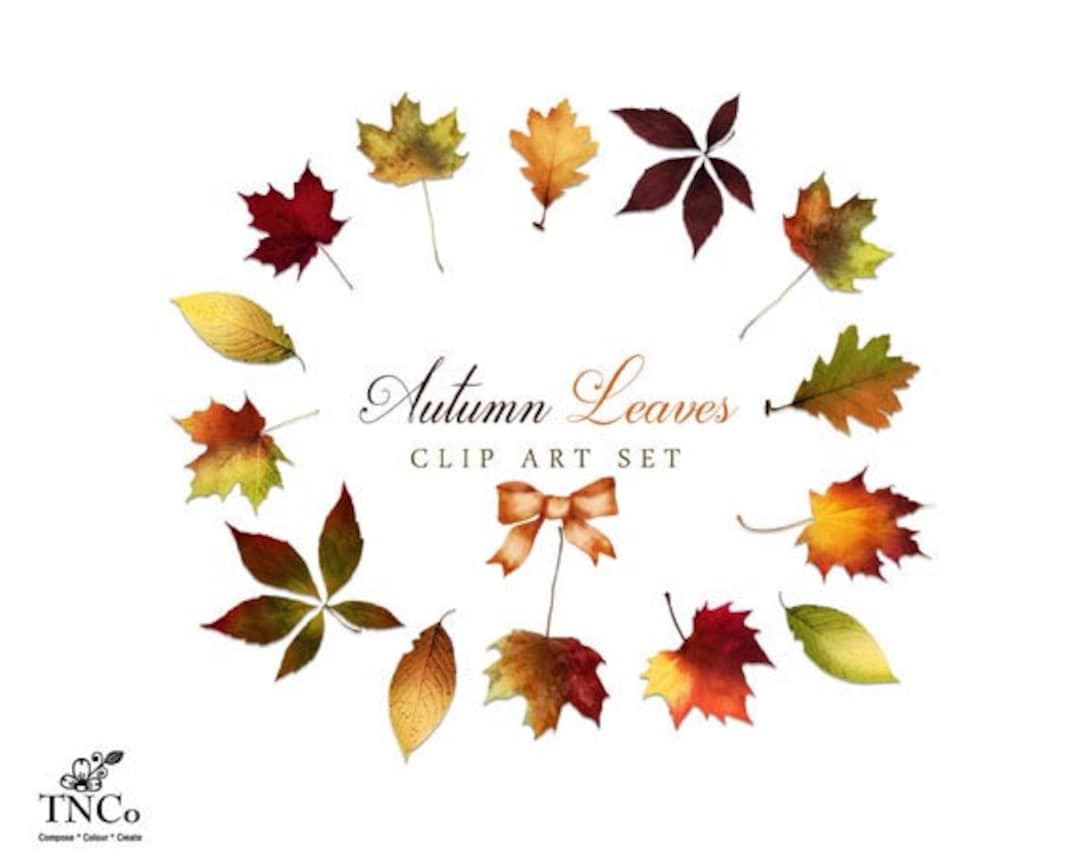 Autumn Clipart - Leaf Clip Art - Nature Art - Fall Clipart - Commercial ...