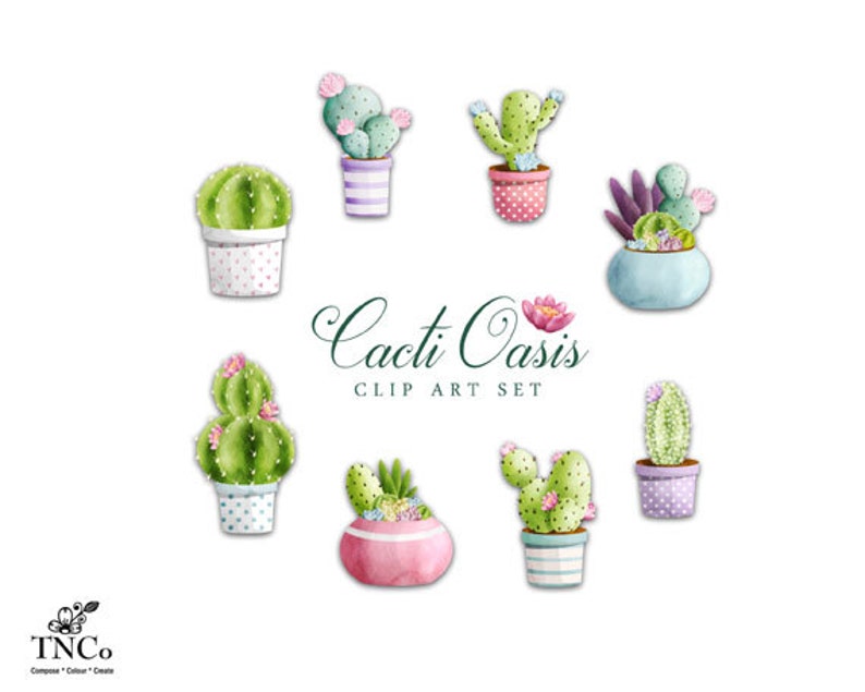 Cactus Clip Art Succulents Clipart Watercolour Flowers - Etsy UK