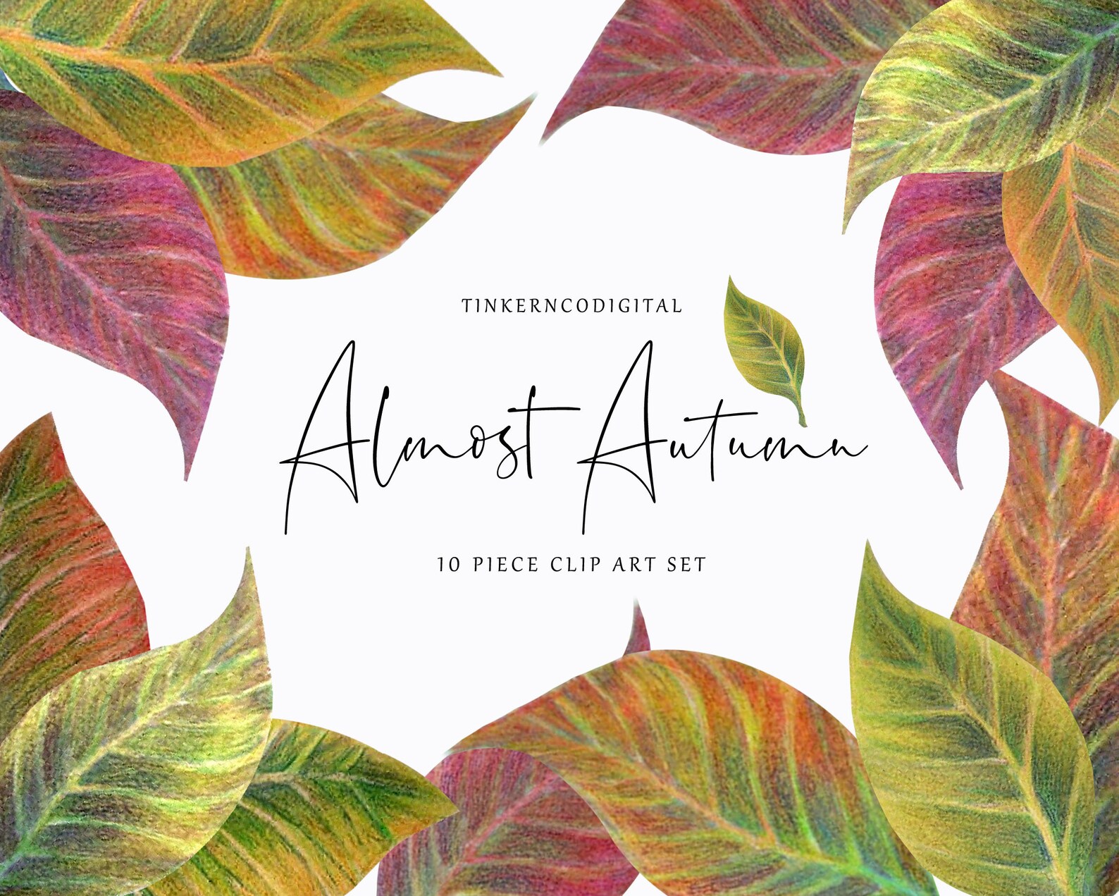 10 Piece Fall Leaf Clipart Set - Pencil Illustration - Pencil Clipart ...