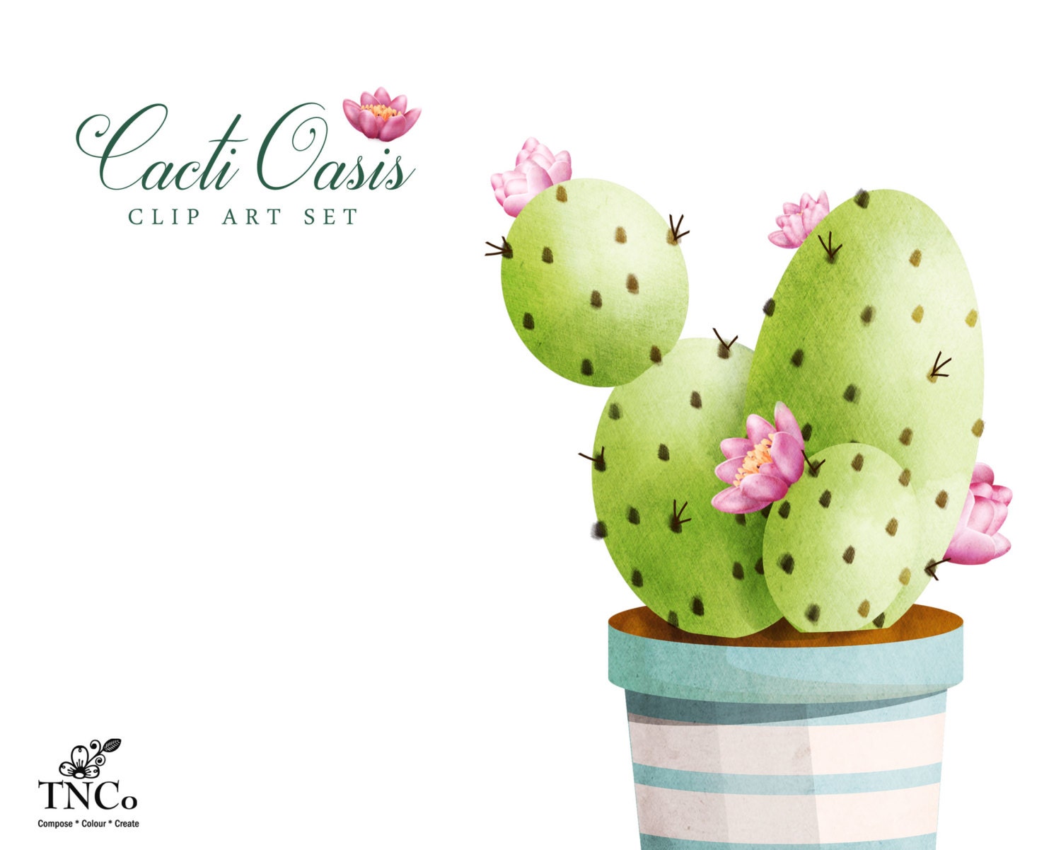 Cactus Clip Art Succulents Clipart Watercolour Flowers - Etsy UK