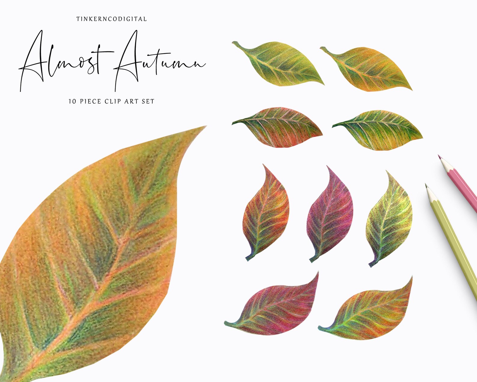 10 Piece Fall Leaf Clipart Set - Pencil Illustration - Pencil Clipart ...