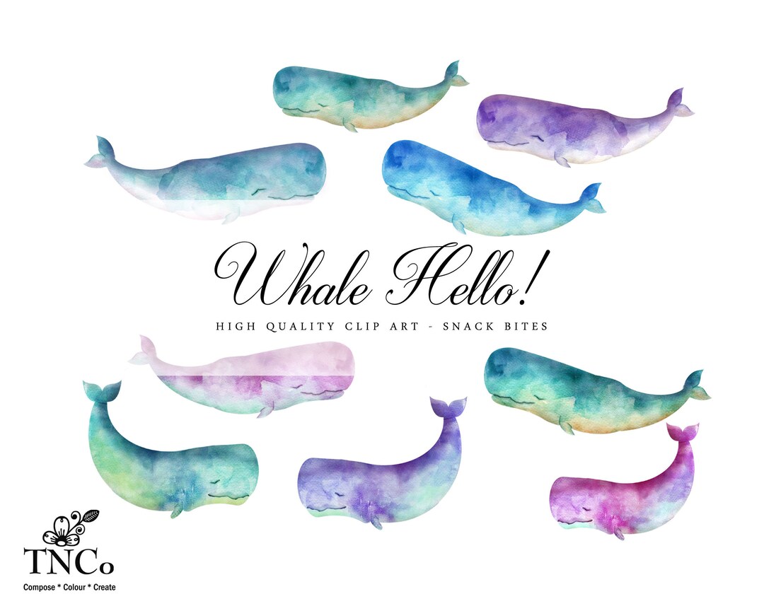 Whale Clipart - Ocean Graphics - Watercolour Whales - Commercial Use ...