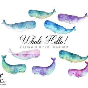 Whale Clipart - Ocean Graphics - Watercolour Whales - Commercial Use ...