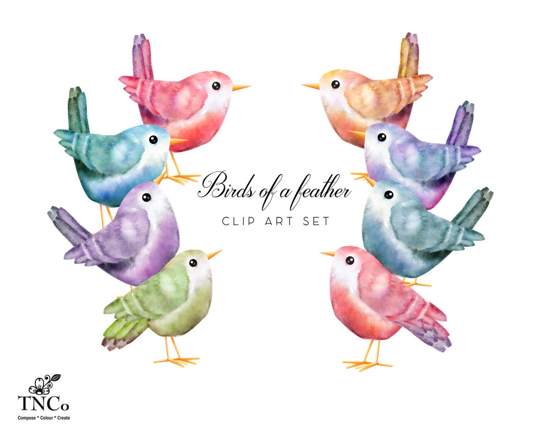 Watercolour Bird - Bird Clipart - Watercolour Bird Prints - Bird Lover ...