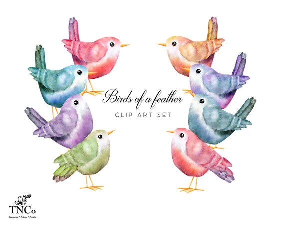Watercolour Bird Bird Clipart Watercolour Bird Prints - Etsy