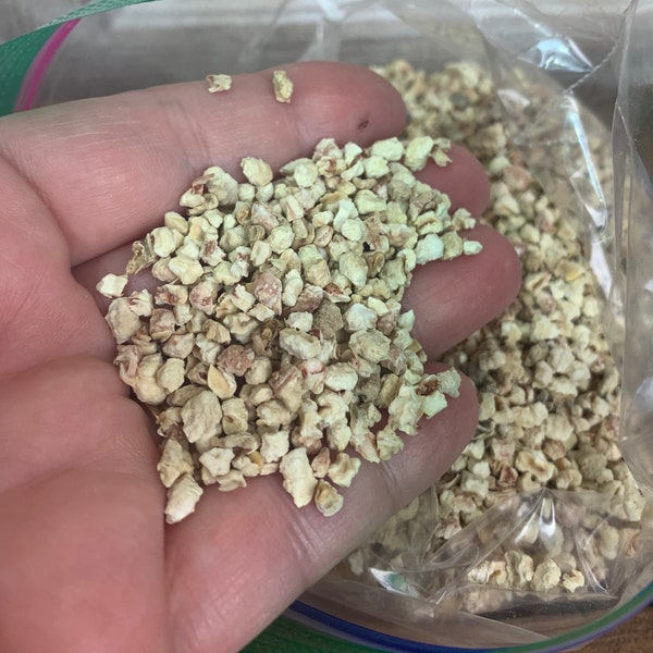 Fake Nuts - Etsy