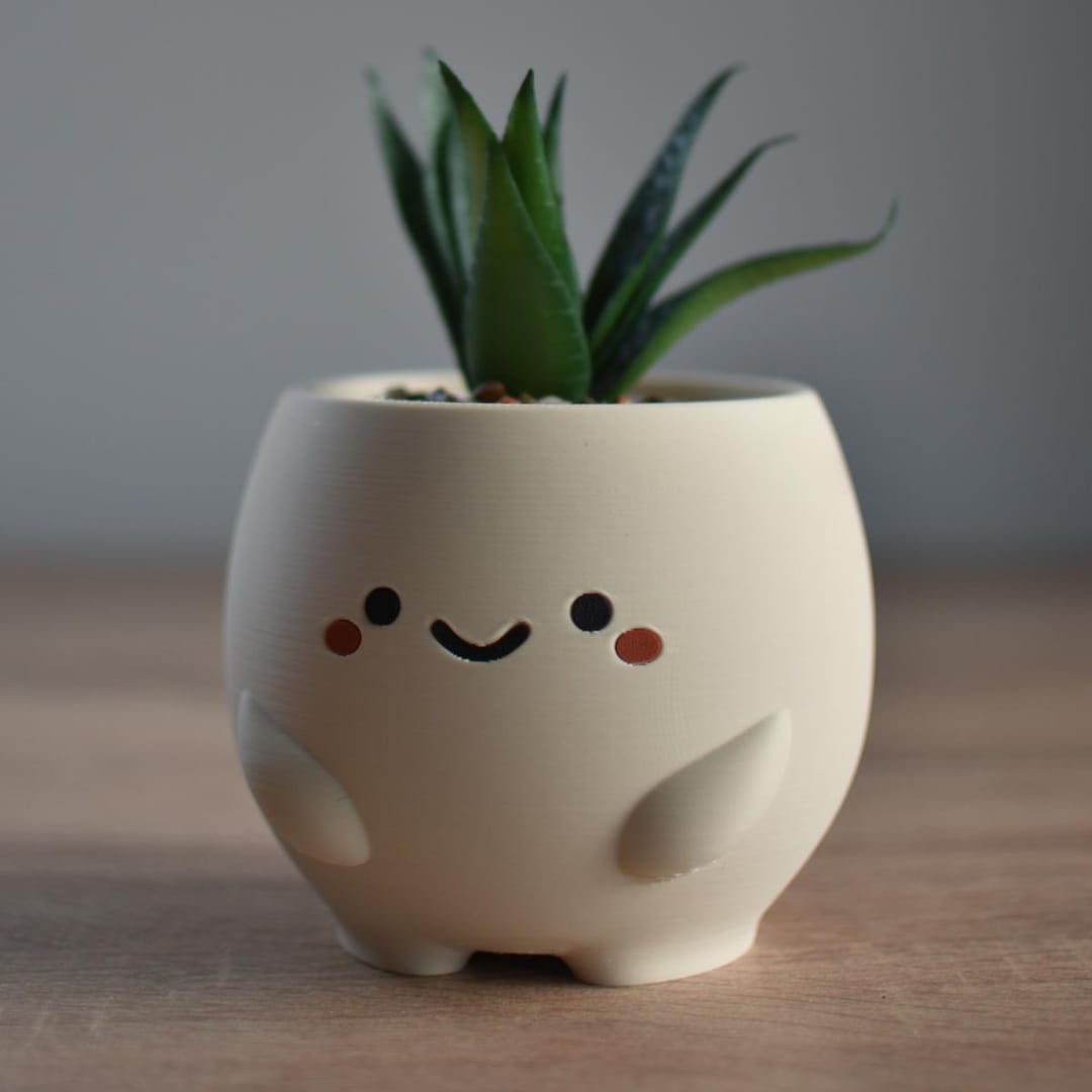 Cute Kawaii Plant Pot – Smiley Planter for a Touch of Joy - Etsy