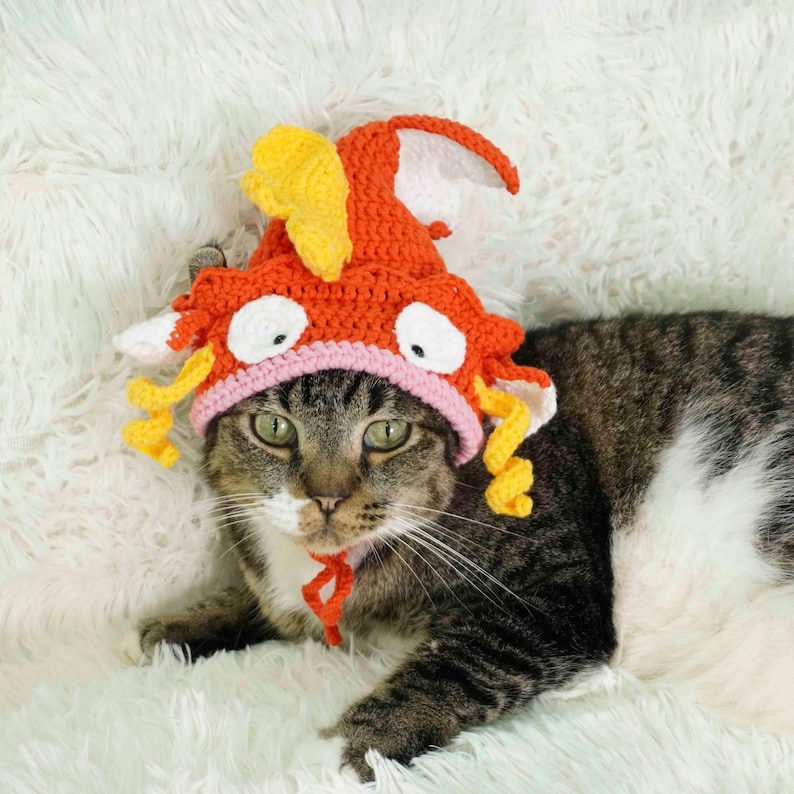 Fish Cat Hat Crochet Pattern, Cat Hat Crochet Pattern, Cat Fish Costume ...