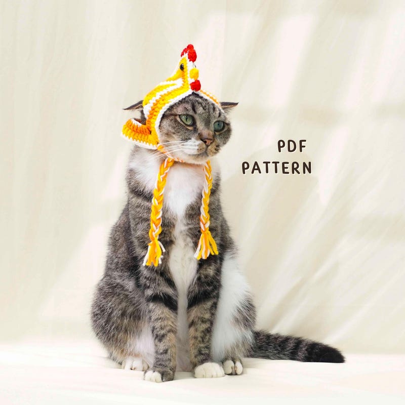 Funny Cat Costume - Etsy