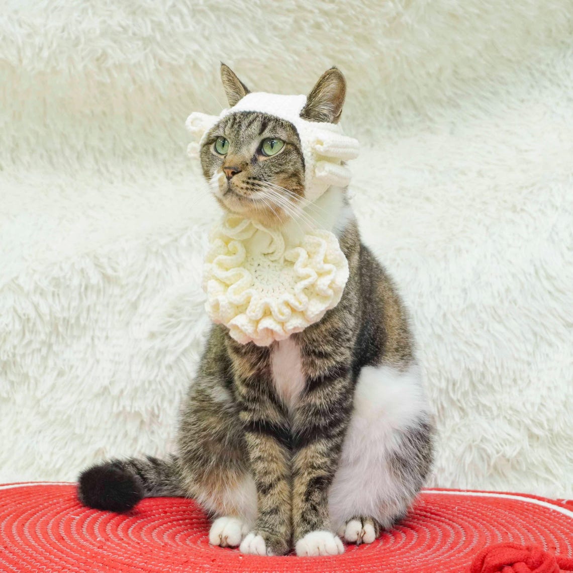 Conductor Outfit Crochet Pattern, Cat Hat Crochet Pattern, Cat Costume ...