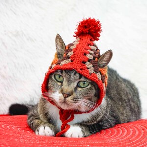 Granny Square Cat Hat Crochet Pattern, Cat Hat Crochet Pattern ...